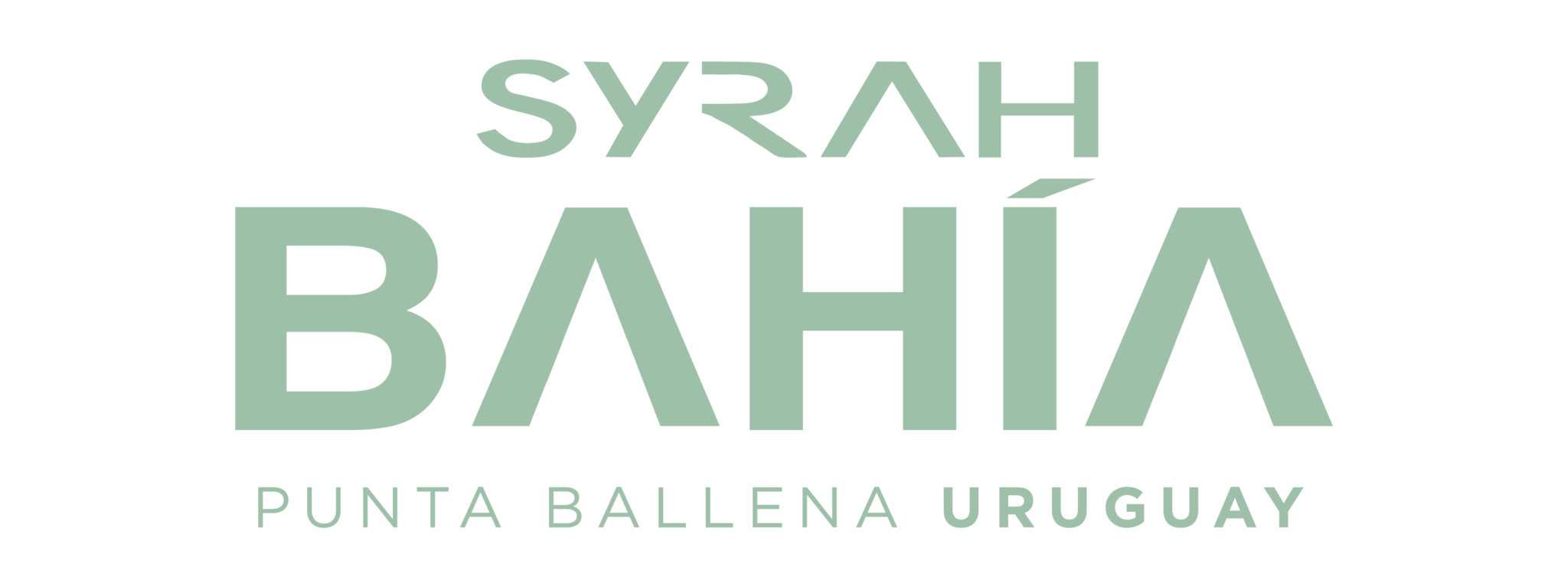 Home • Syrah Punta Ballena Uruguay