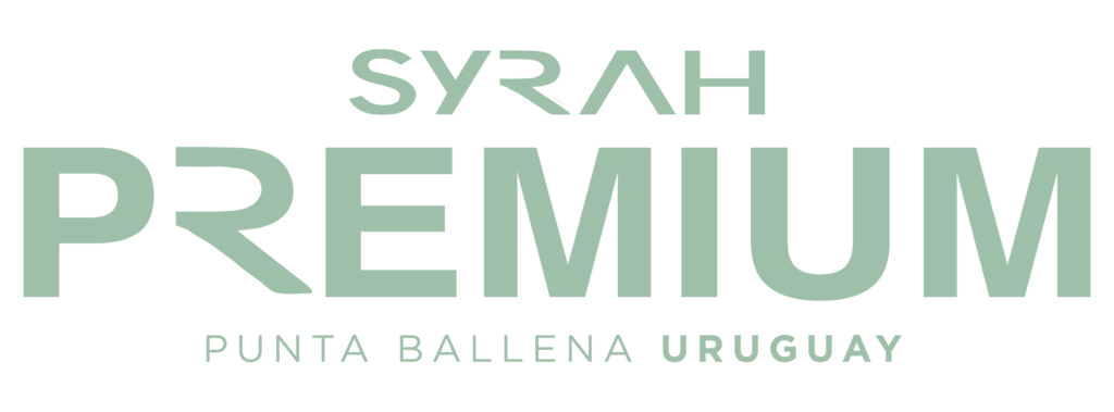 Home • Syrah Punta Ballena Uruguay